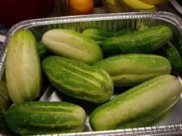 What To Do With Overgrown Cucumbers: Don’t Waste Your Cucumbers!