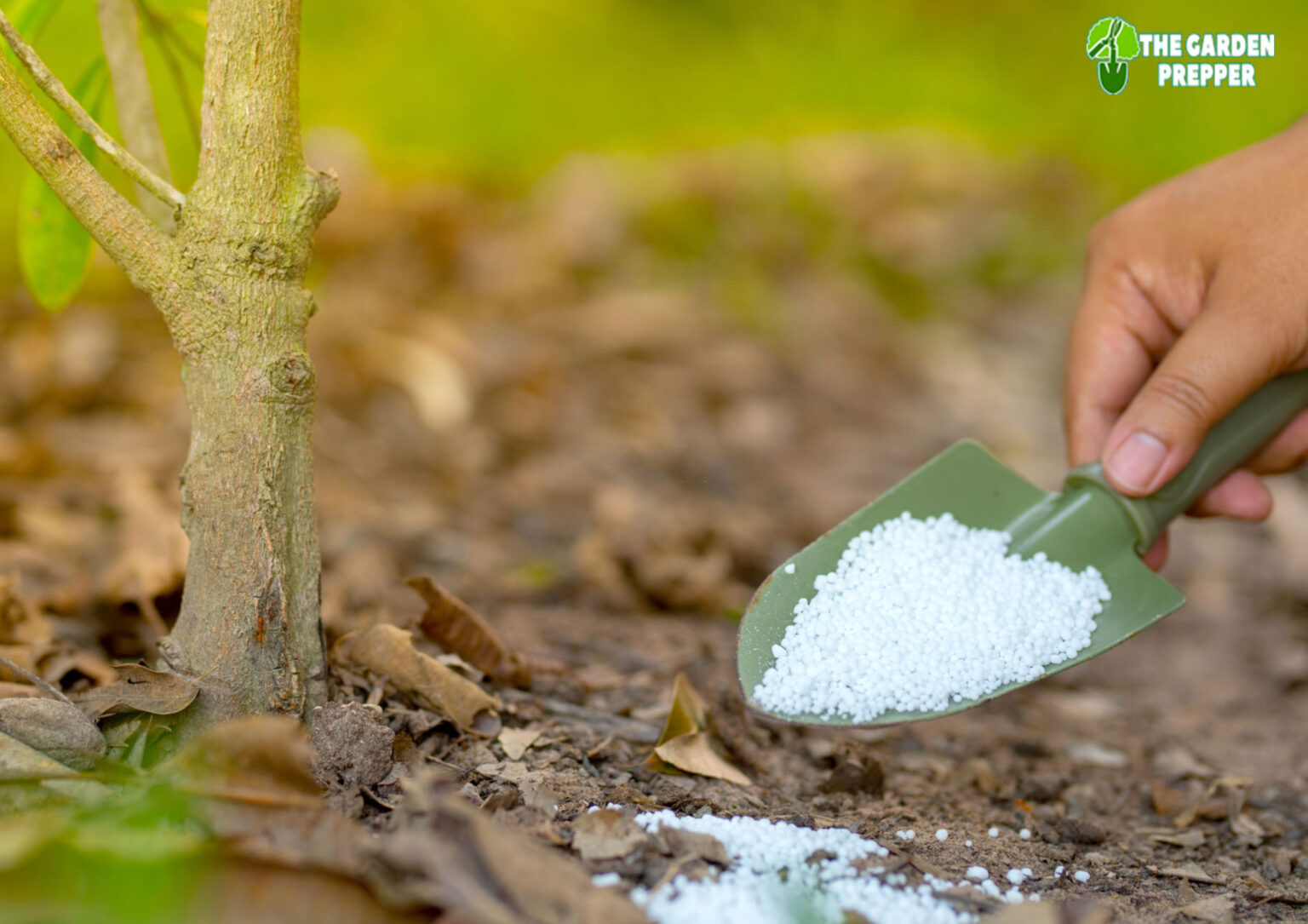 Fertilizer for Trees - This Is How You Fertilize Deciduous Trees